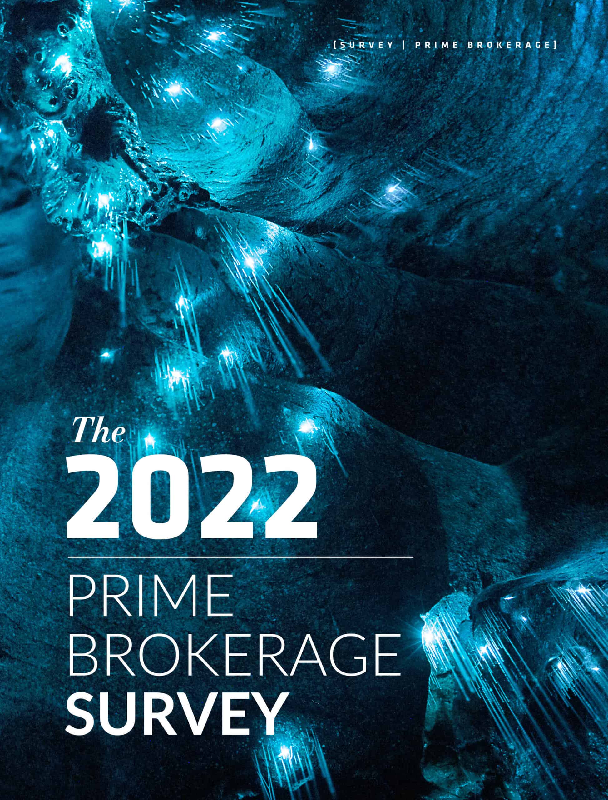 Prime Brokerage Survey