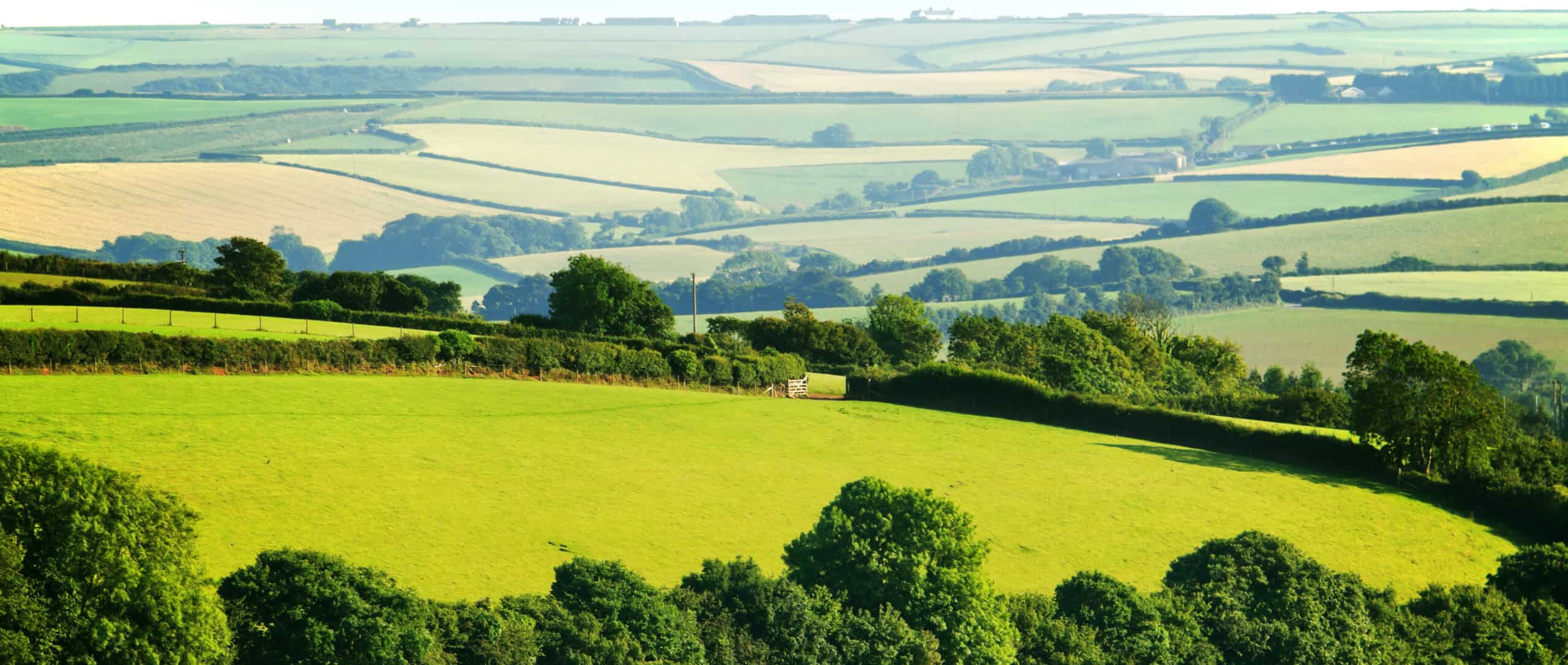 Is the grass greener on the other side? GC Research looks back at last ...